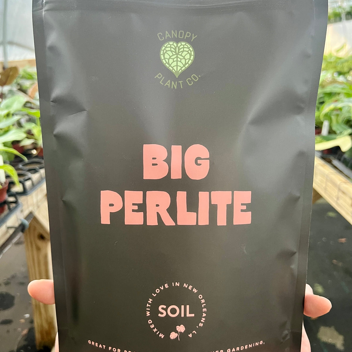 Big Perlite (1 gallon) – Canopy Plant Co.